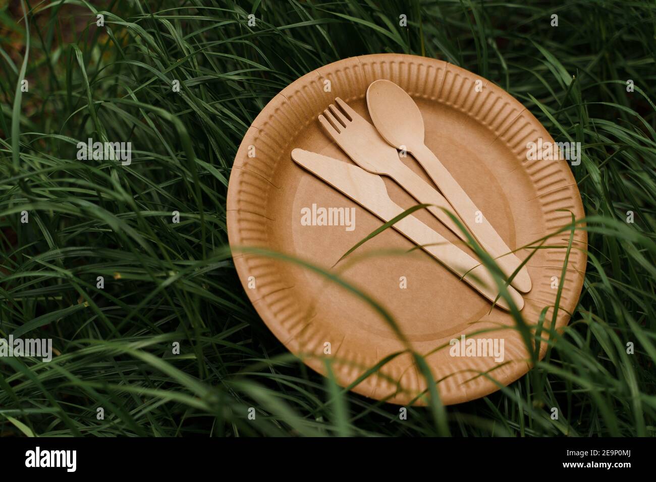 Eco-friendly natural plate with spoon, fork, knife. Set of disposable ...