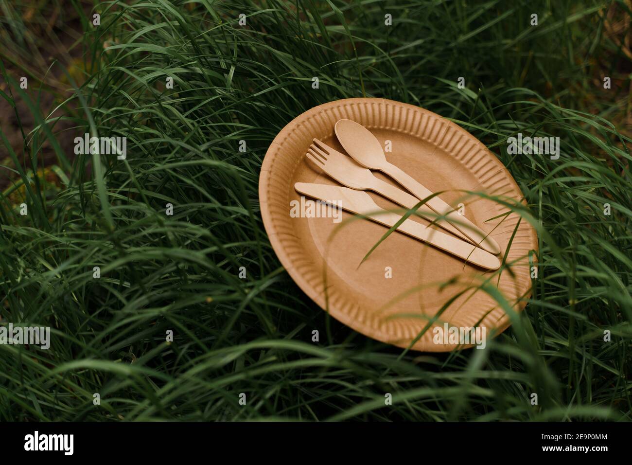 Eco-friendly natural plate with spoon, fork, knife. Set of disposable ...