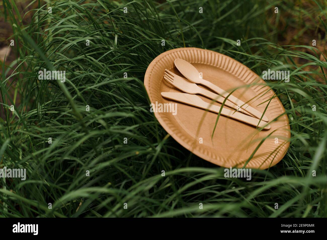 Eco-friendly natural plate with spoon, fork, knife. Set of disposable ...