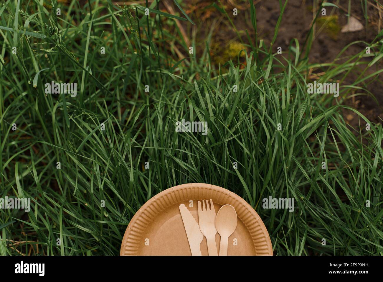 Eco-friendly natural plate with spoon, fork, knife. Set of disposable ...