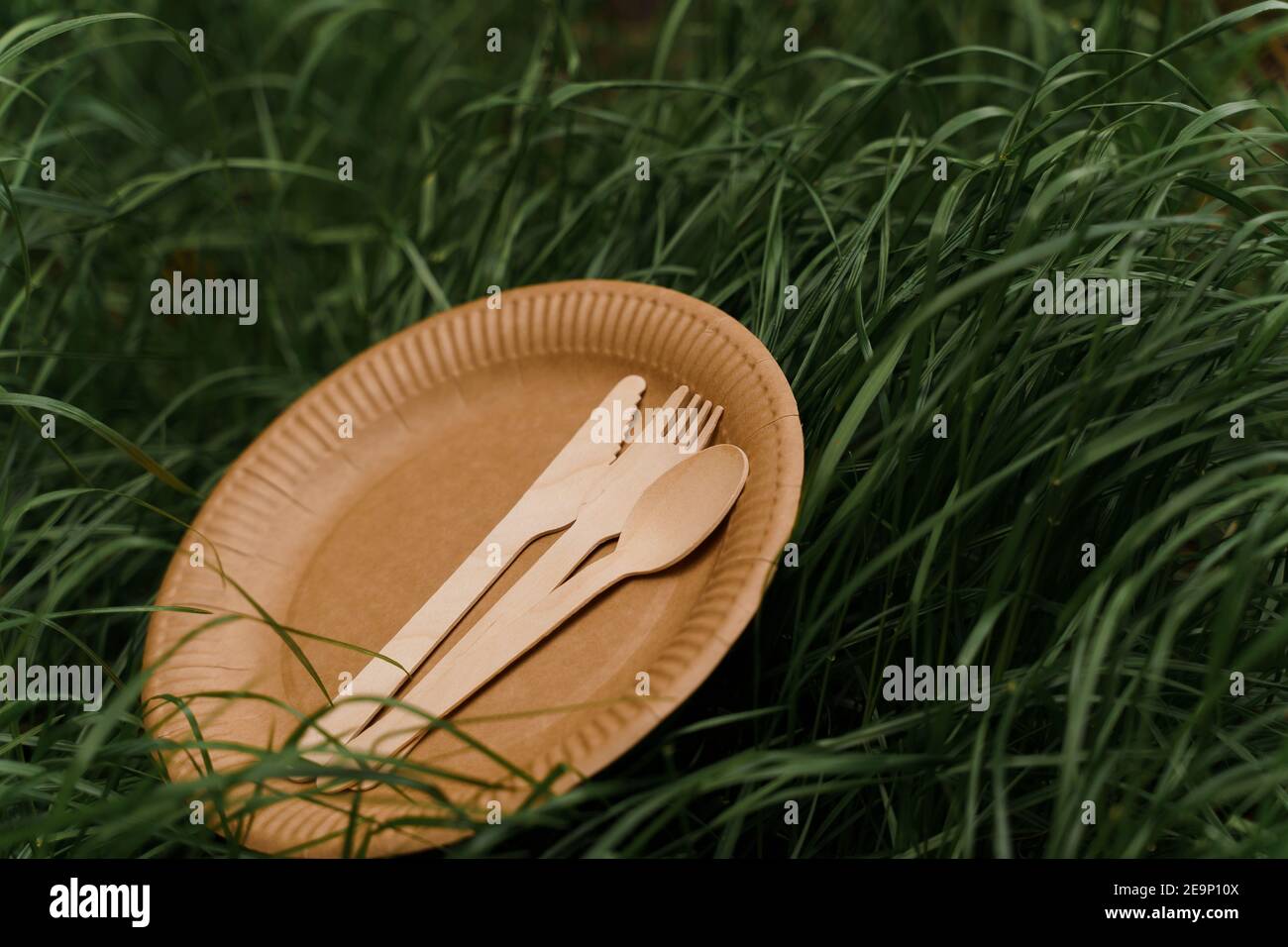 Eco-friendly natural plate with spoon, fork, knife. Set of disposable ...