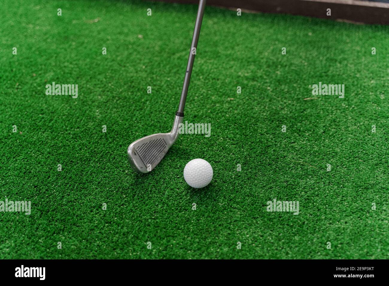 Playing in mini-golf on the green grass using niblick. Player hits ...