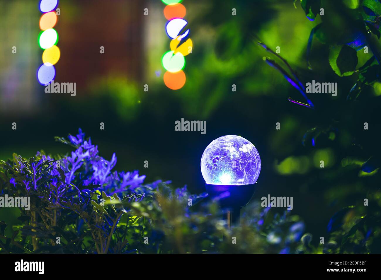 Beautiful night garden hi-res stock photography and images - Alamy