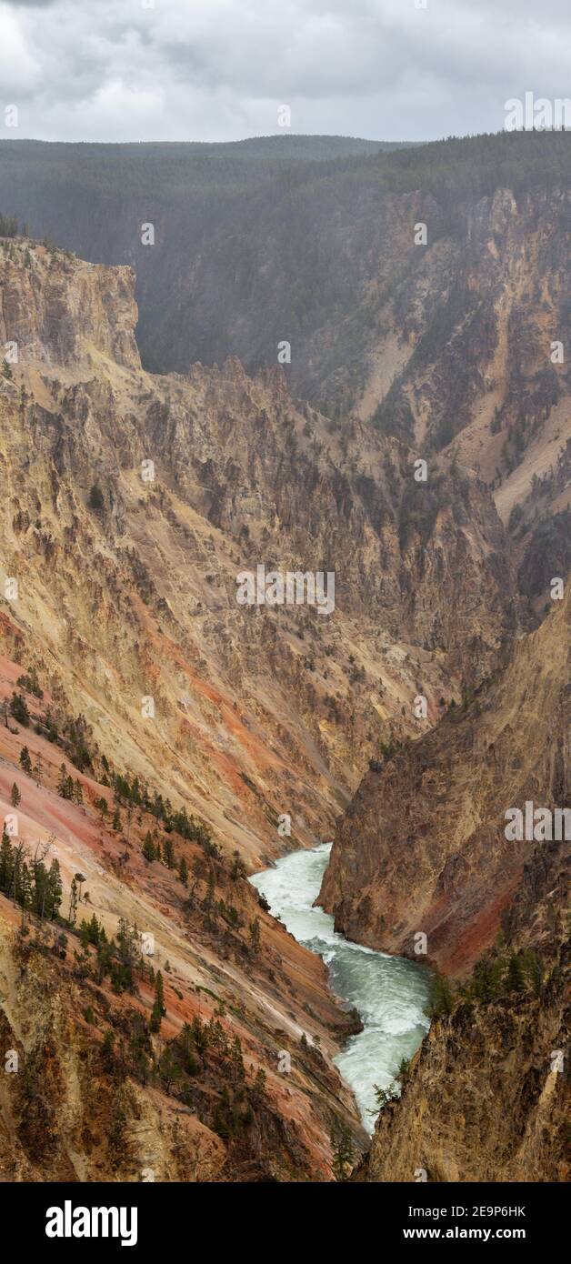 The Yellowstone River winding through the steep rhyolite walls of the ...