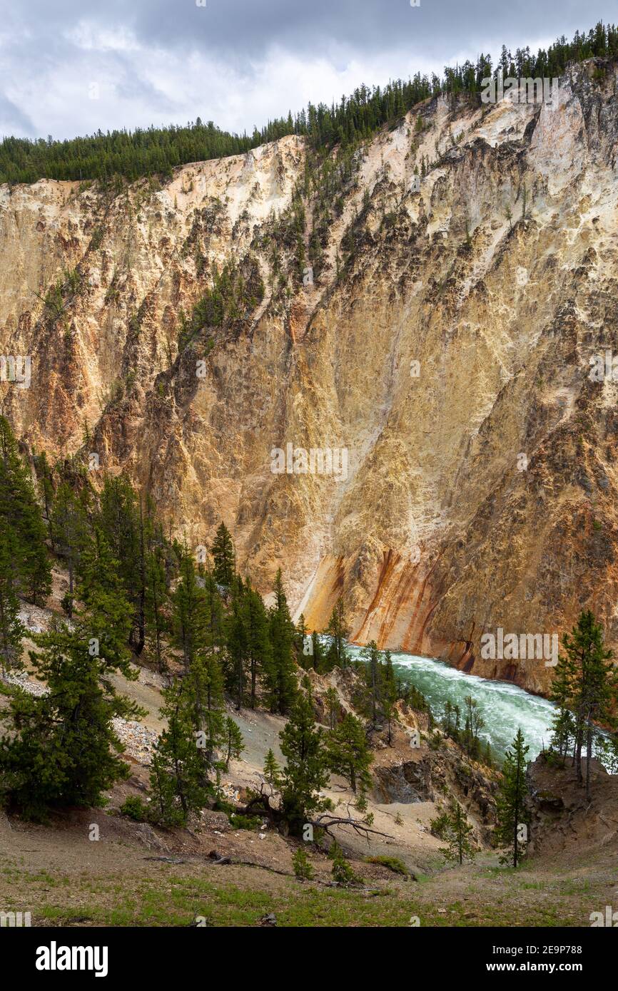 The Yellowstone River winding below rhyolite cliffs of the Grand Canyon ...