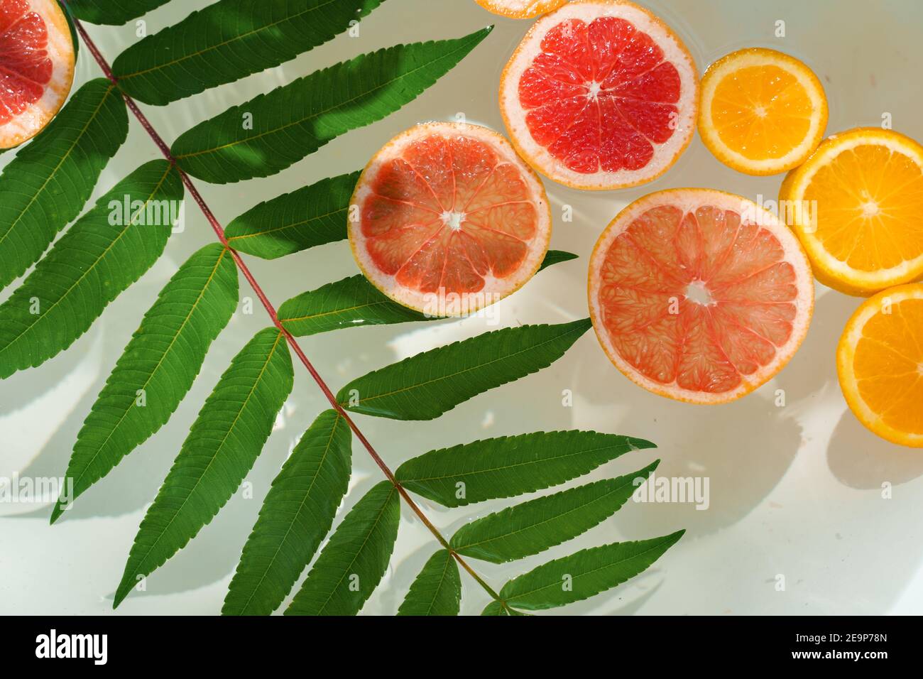 Orange Lemon Fruits In The Water With Green Leaves Decoration For Party Citrus Fruits In The orange-lemon-fruits-in-the-water-with-green-leaves-decoration-for-party-citrus-fruits-in-the