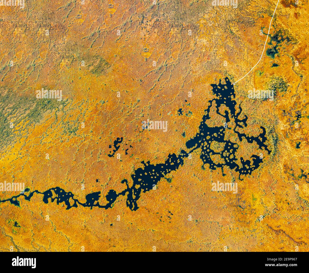 Yelnya swamp hi-res stock photography and images - Alamy