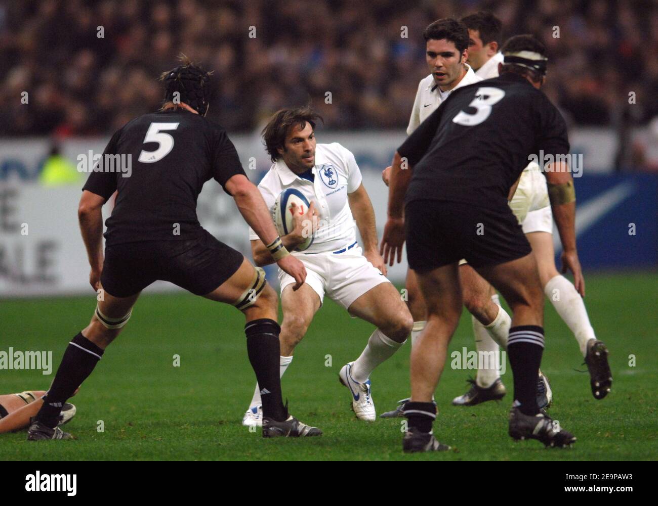 Dominici new zealand hi-res stock photography and images - Alamy