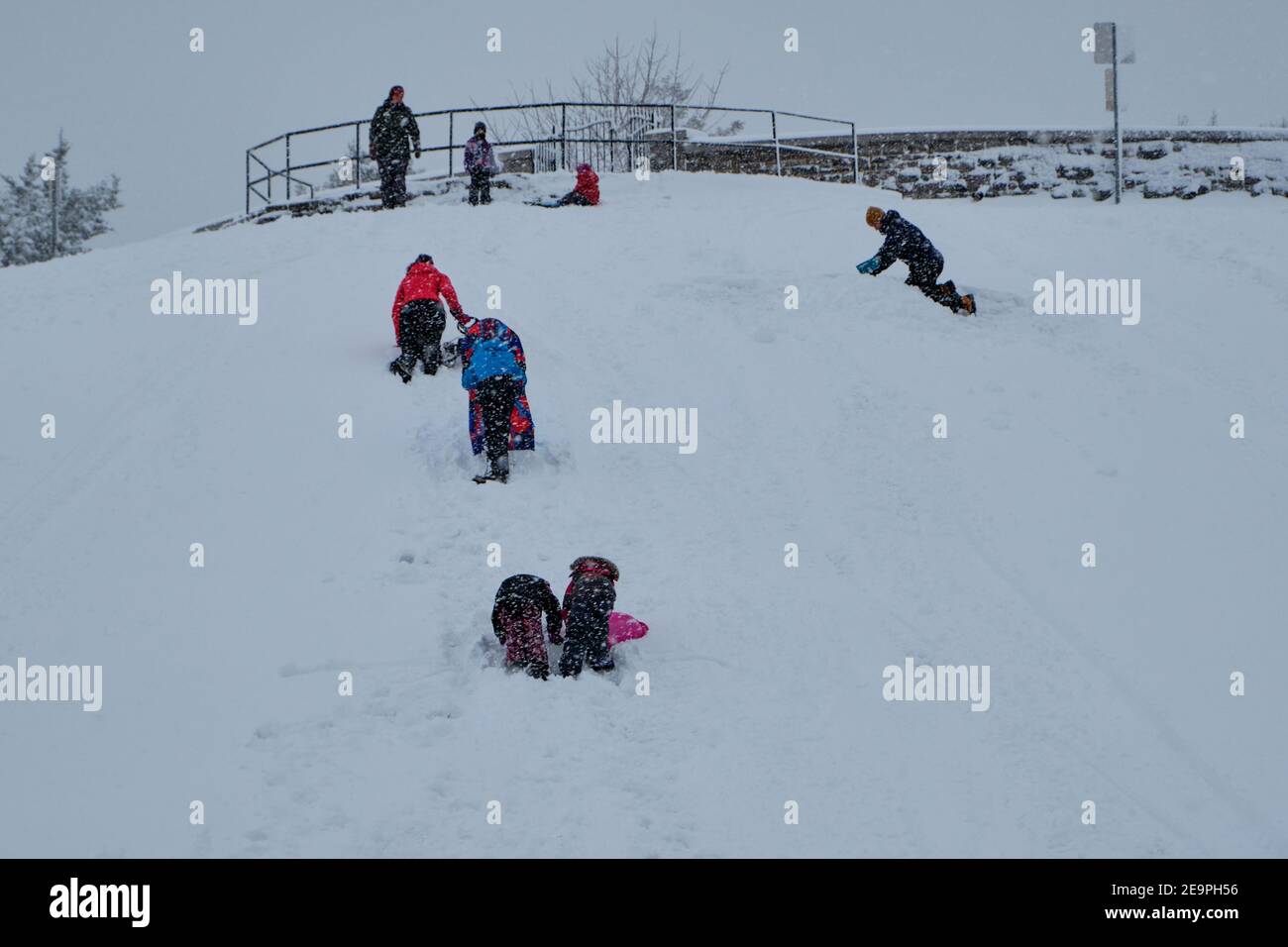 Toboggans hi-res stock photography and images - Alamy