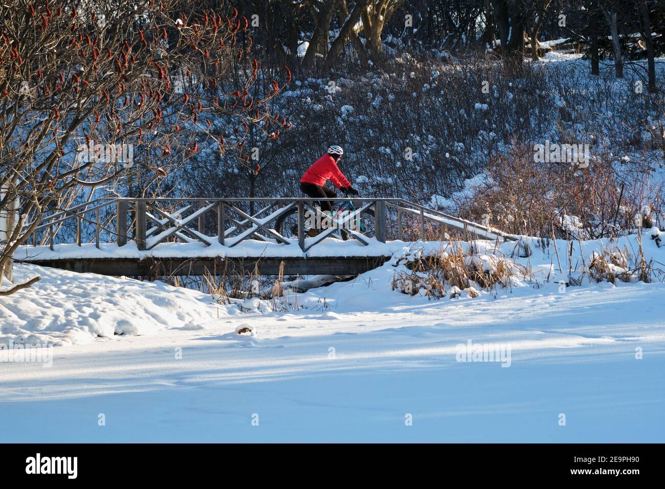 Man on a fat bike going over a snowy wood bridge, in an urban park in ...