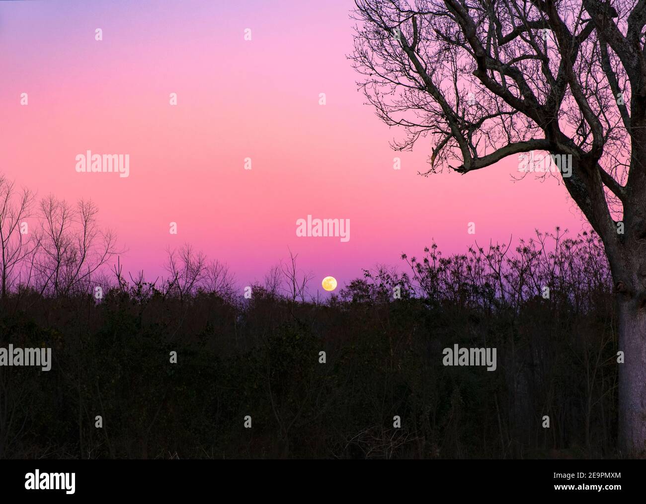 Moon on the horizon hi-res stock photography and images - Alamy