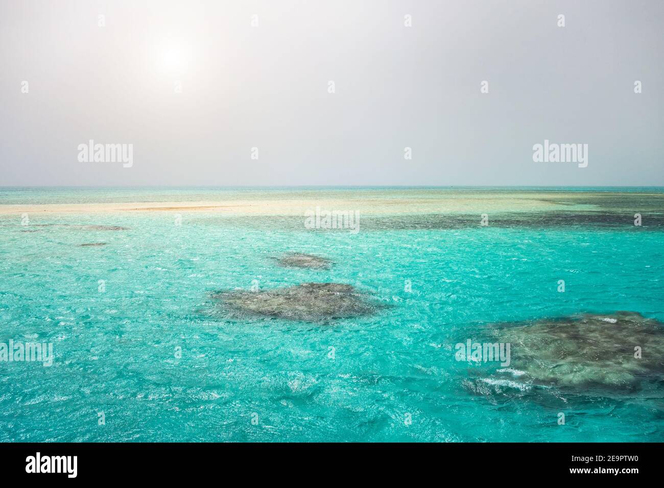 Red sea Coral reef the underwater White Island. The reefs in Ras ...