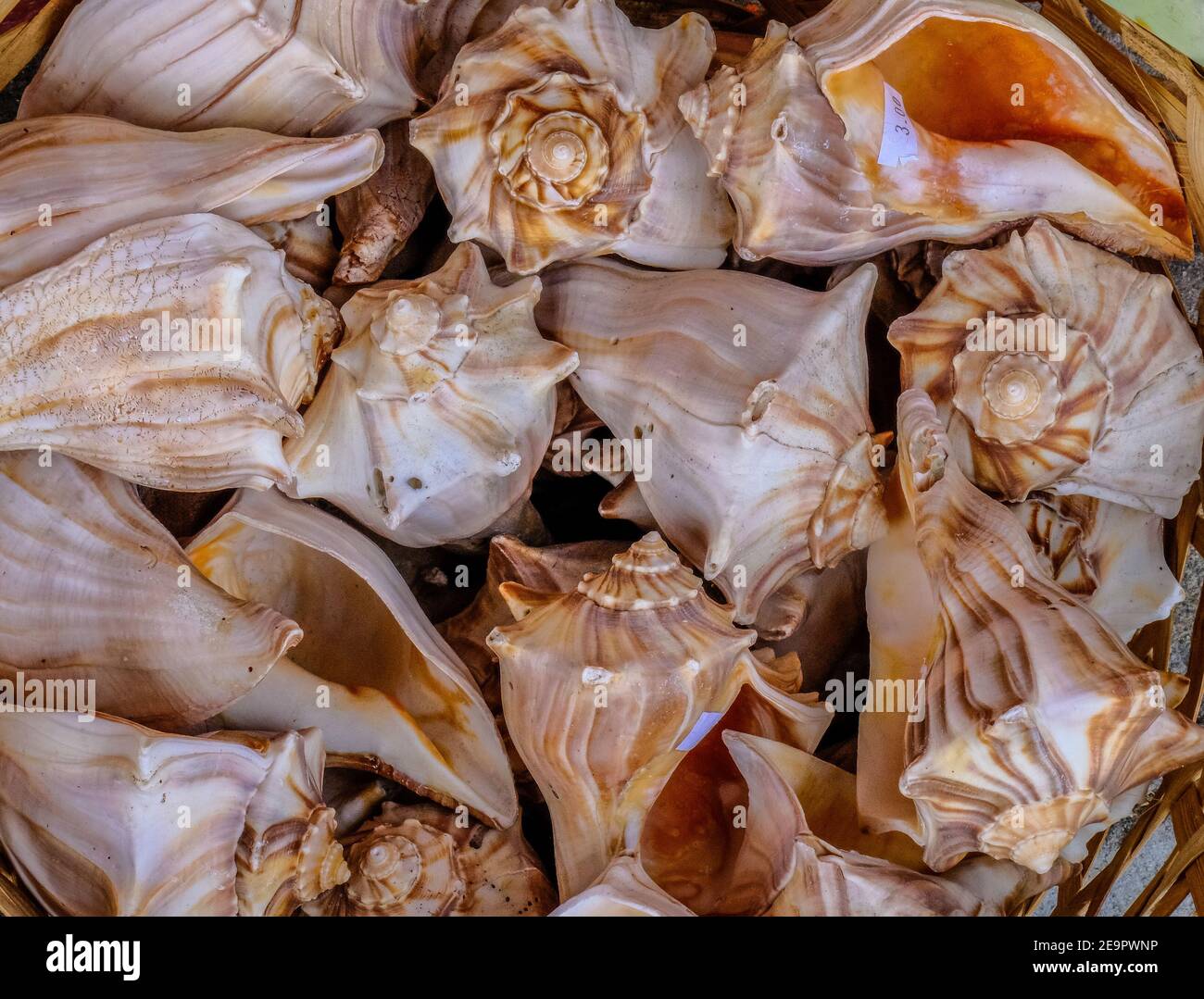 Sea retail hi-res stock photography and images - Alamy