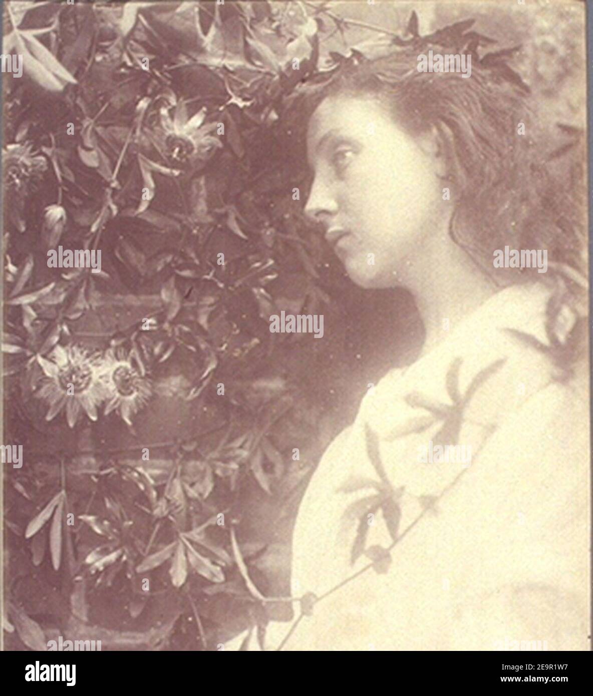 Maud - the Passion flower at the Gate, by Julia Margaret Cameron, M197600240013 Stock Photo - Alamy