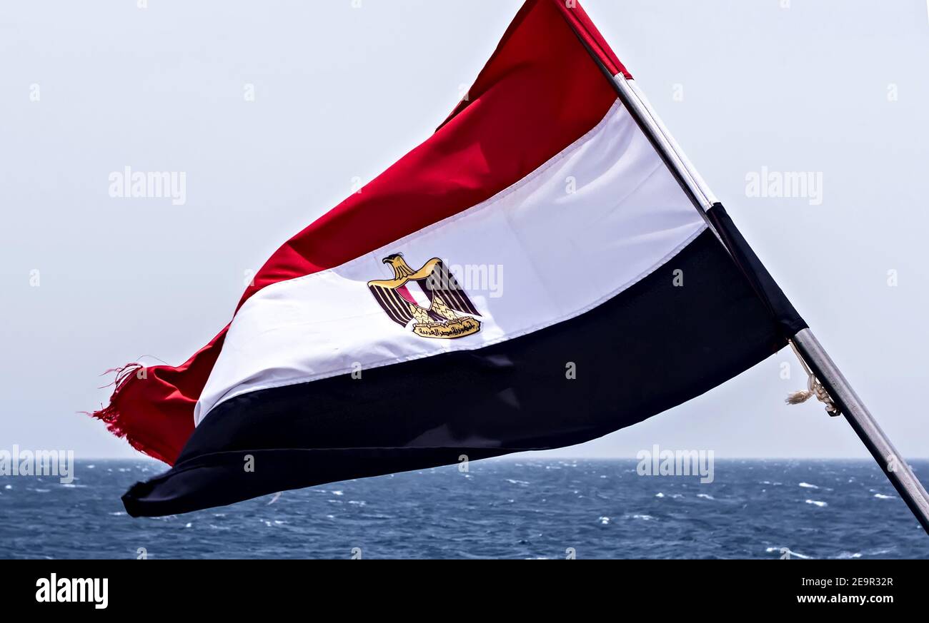 Egypt flag of the three equal horizontal red, white, and black bands ...