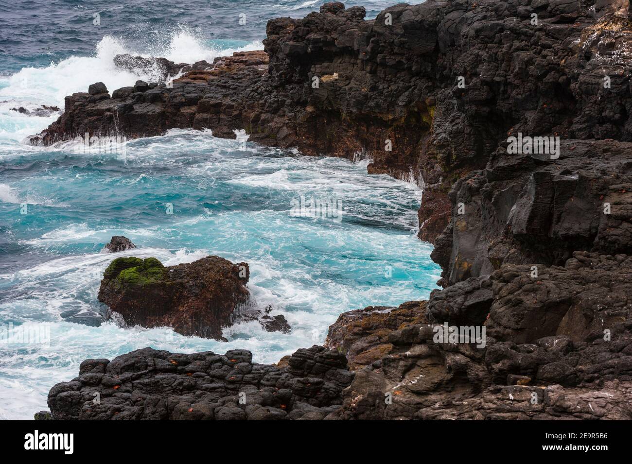 Punta Suarez, Espanola Island, Galapagos islands, Ecuador Stock Photo ...