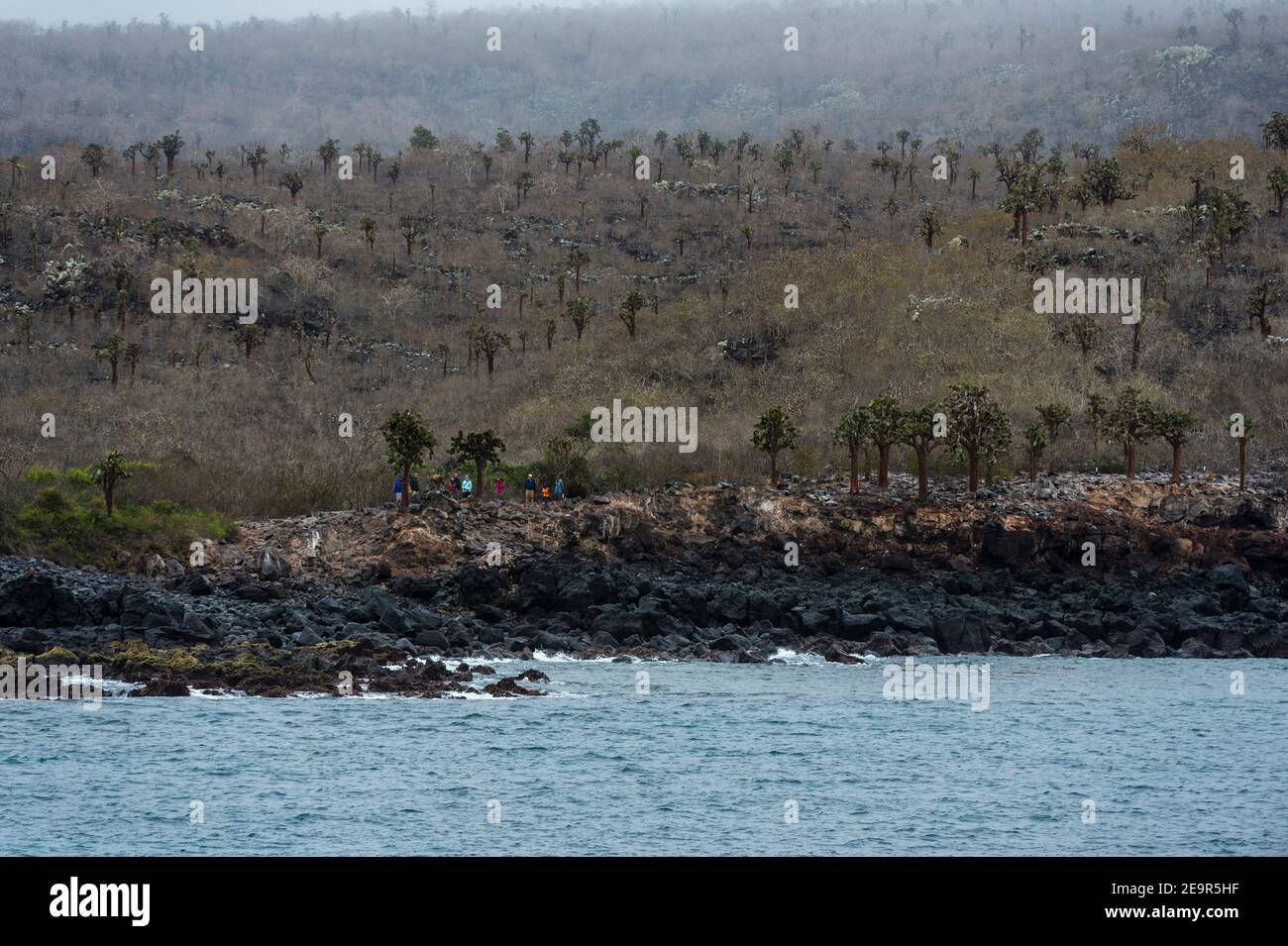 Santa Fe Island, Galapagos islands. Ecuador Stock Photo - Alamy
