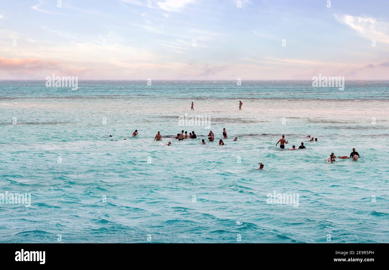 Azure water blue swimmer swim hi-res stock photography and images - Alamy