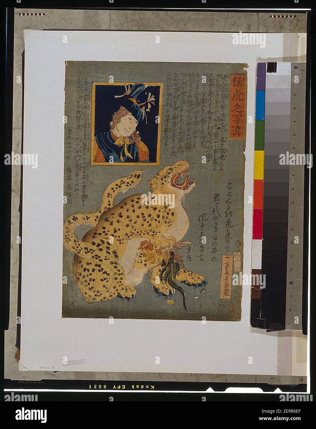 Mōko no shashin Stock Photo - Alamy