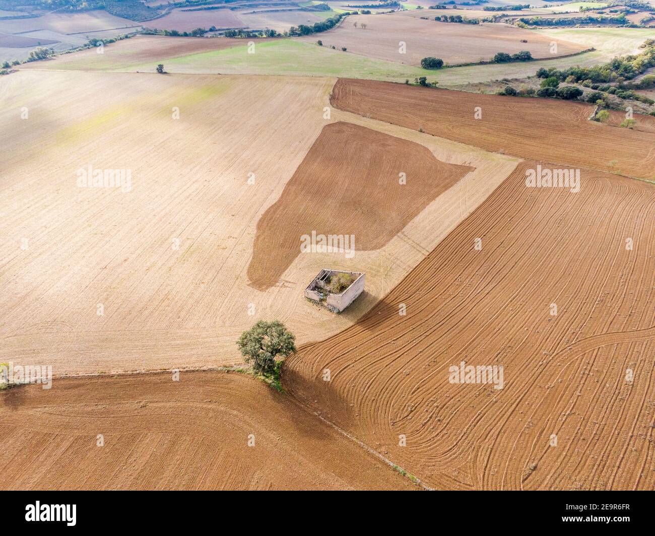 aerial view of old farmer's hut and lone tree, cultivated islands can ...