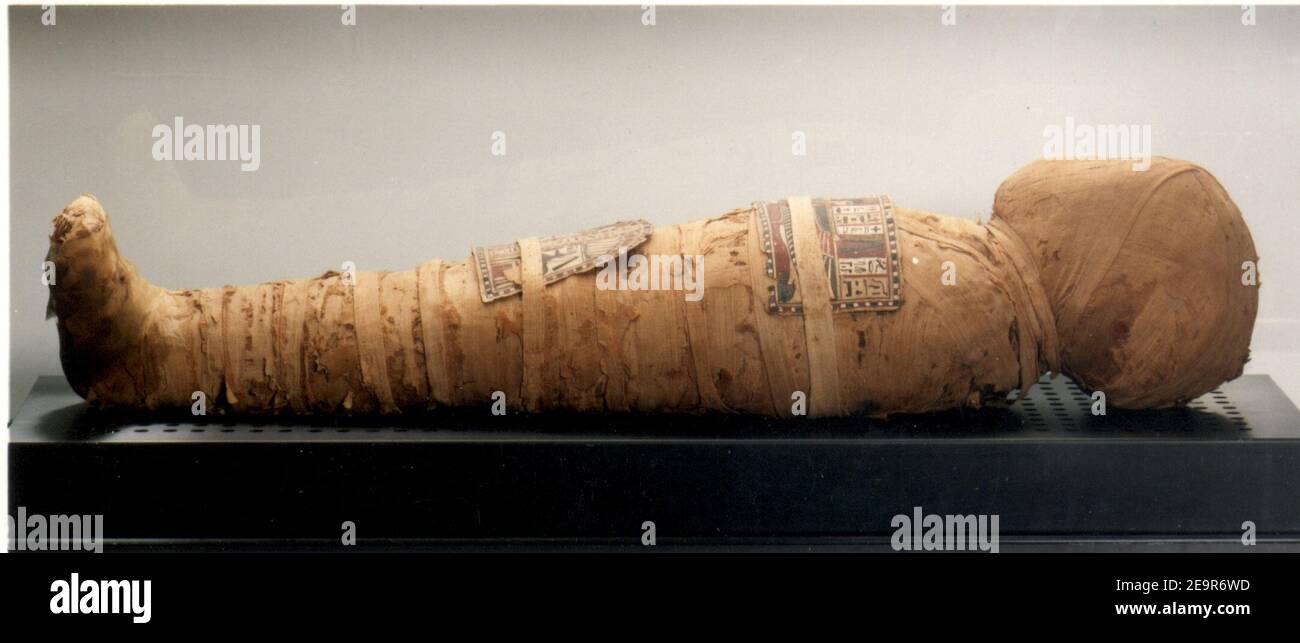 Nesi hi-res stock photography and images - Alamy