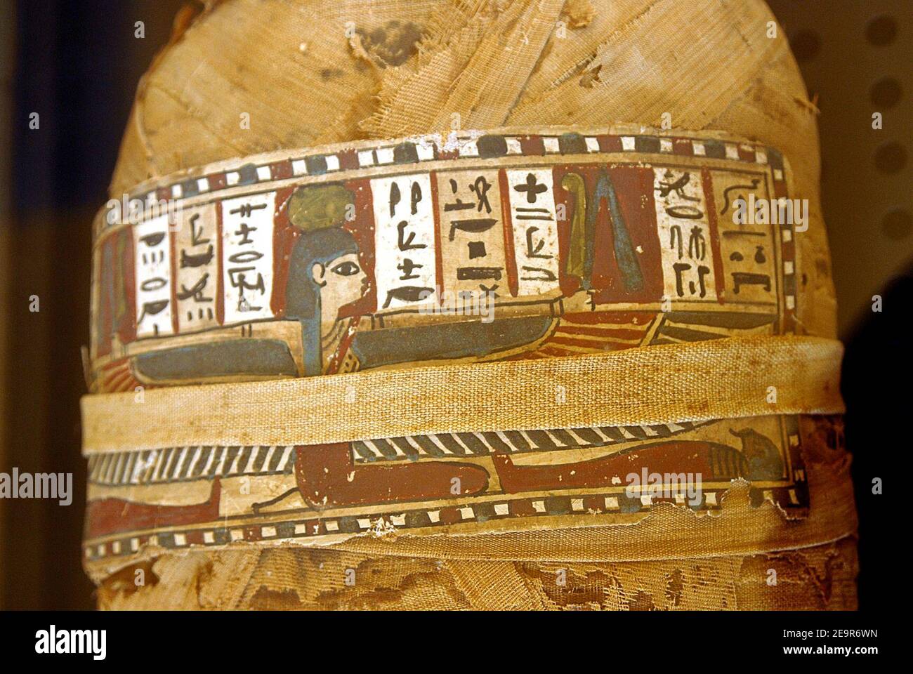 Nesi hi-res stock photography and images - Alamy