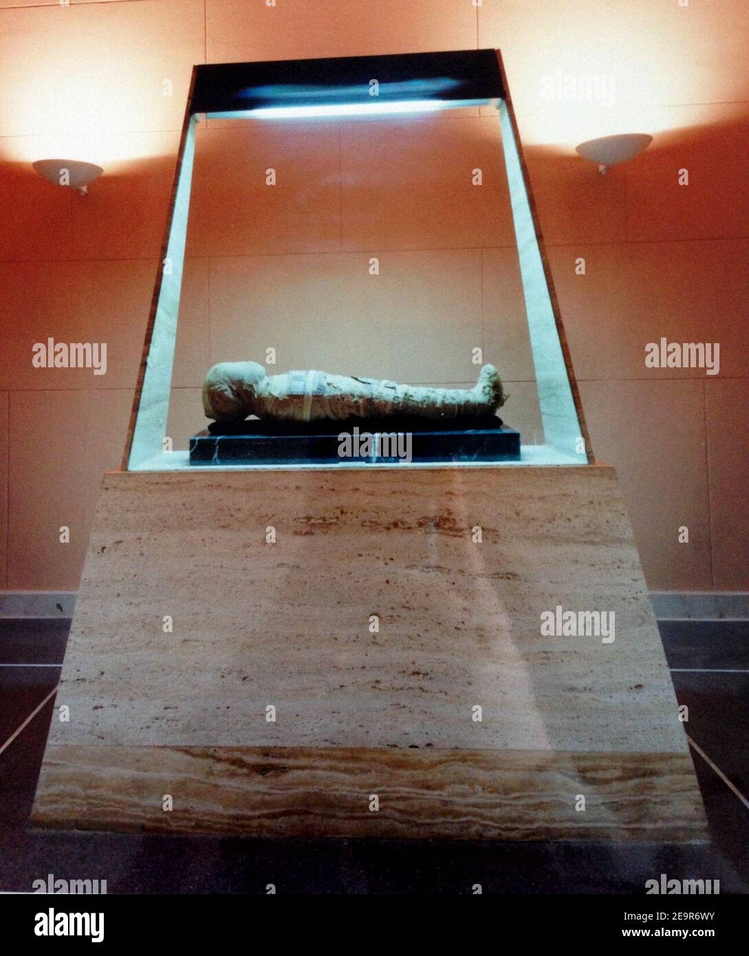 Nesi hi-res stock photography and images - Alamy