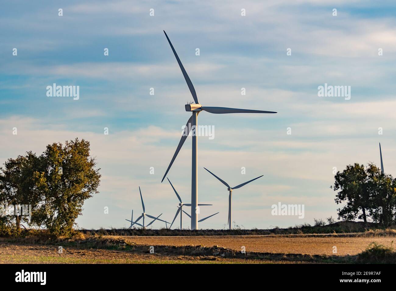 wind turbine farm in the middle of crop fields, wind turbines at ...