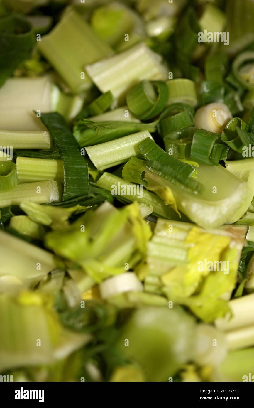Mixed salad vegetables with dill leek and green fresh onions macro ...