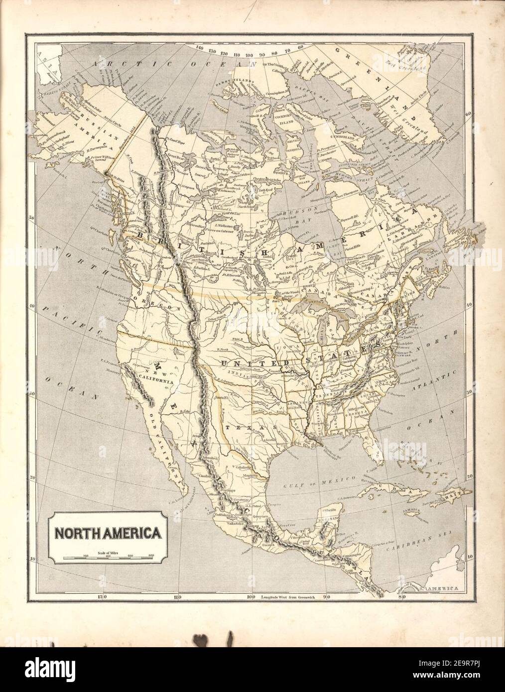 Morses atlas hi-res stock photography and images - Alamy