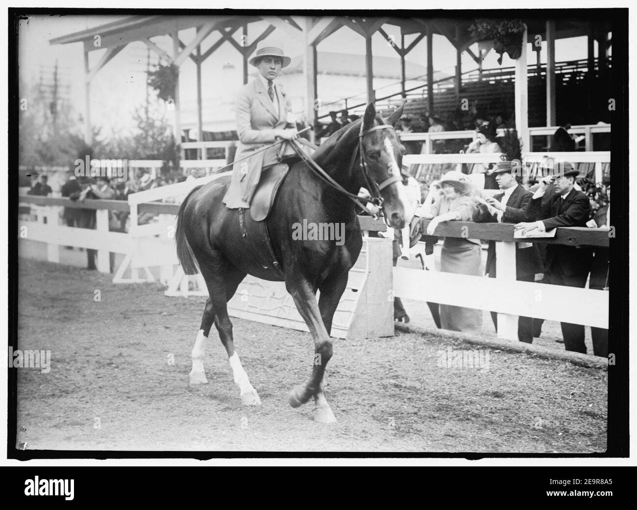 Morton show Cut Out Stock Images & Pictures - Alamy