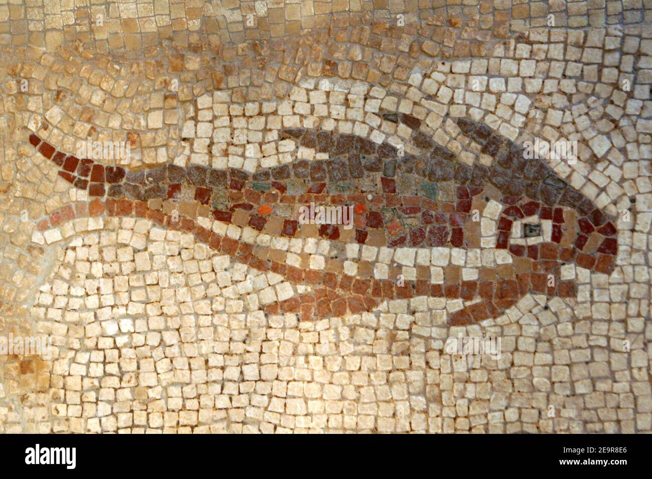 Mosaic amb representació de peixos2 Stock Photo - Alamy