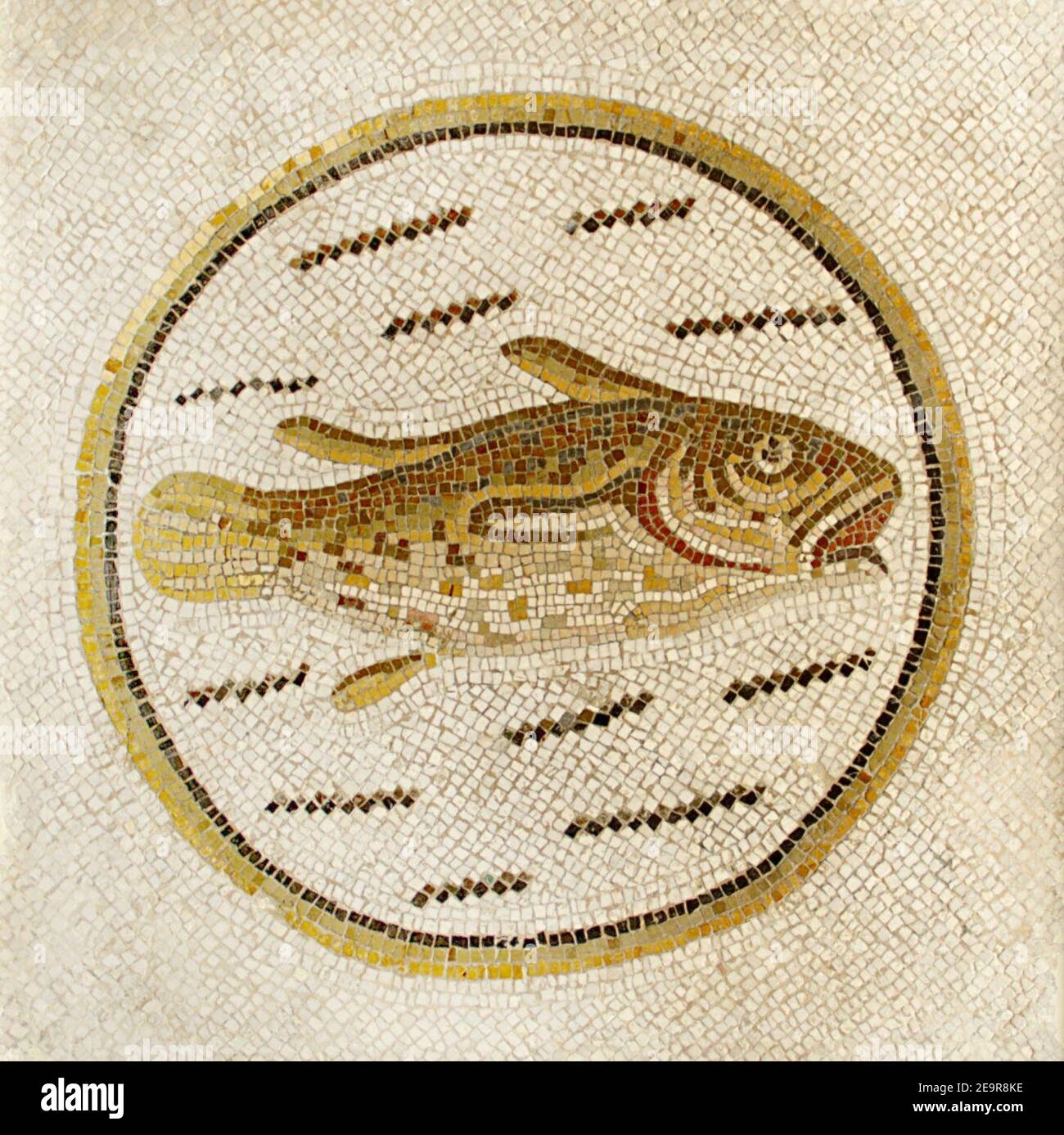 Mosaique de poisson au musée Stock Photo - Alamy
