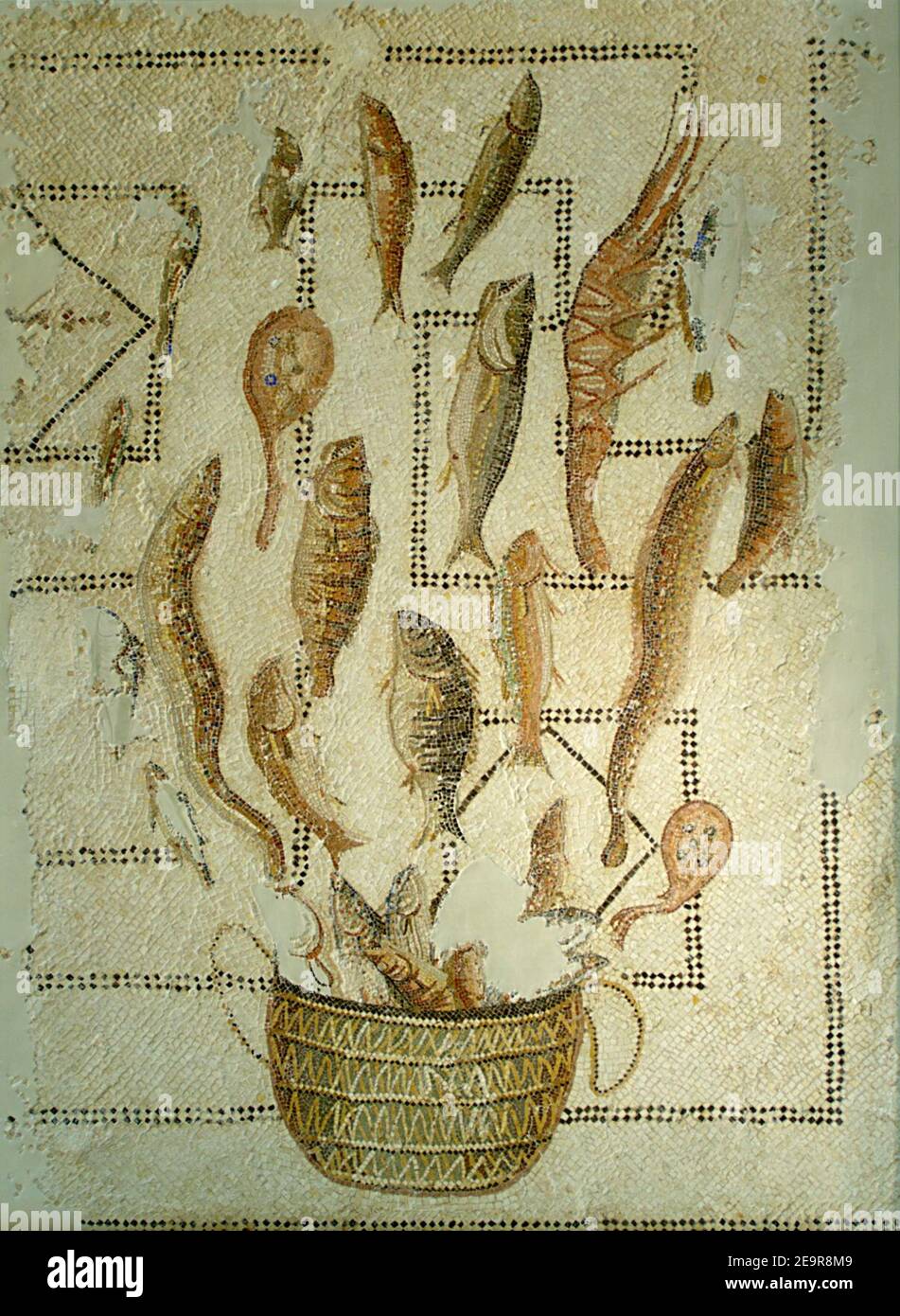 Mosaique des poissons au musée Stock Photo - Alamy