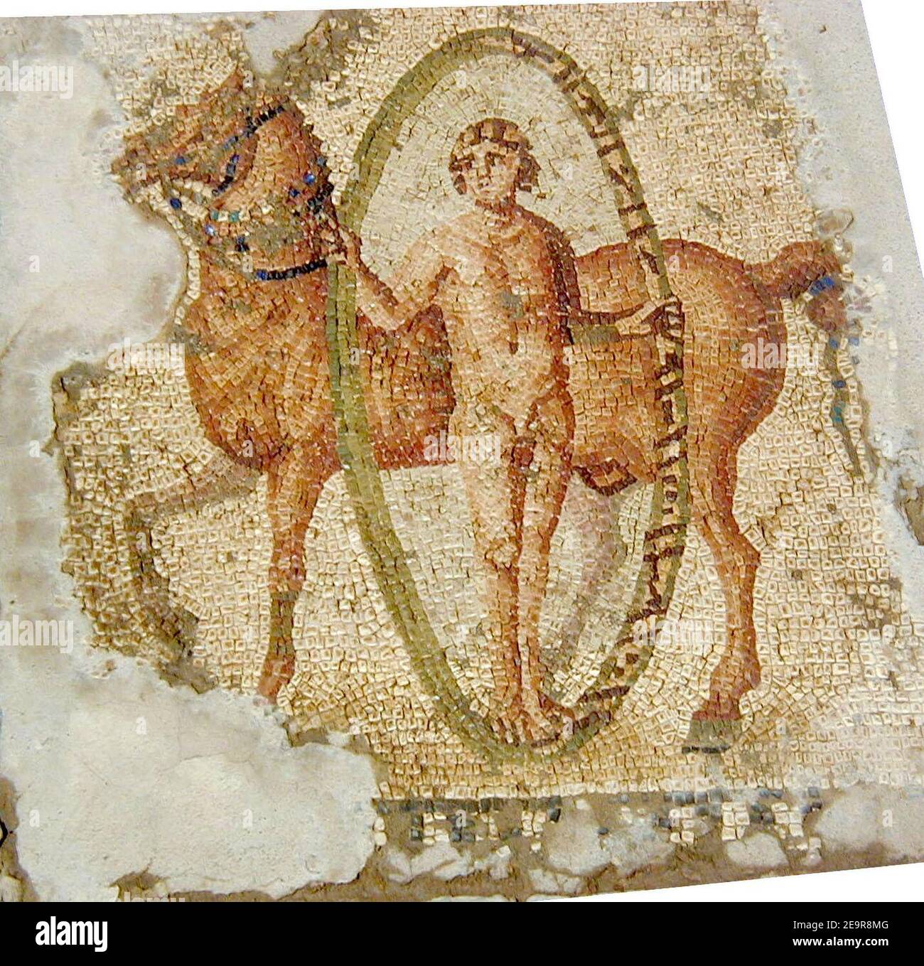 Mosaique des chevaux de Carthage - cercle Stock Photo - Alamy