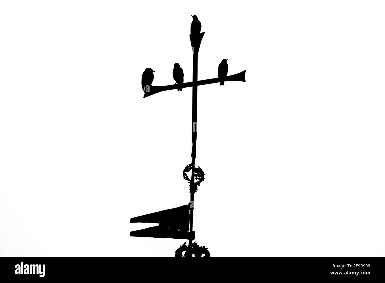 Wind vane Cut Out Stock Images & Pictures - Alamy