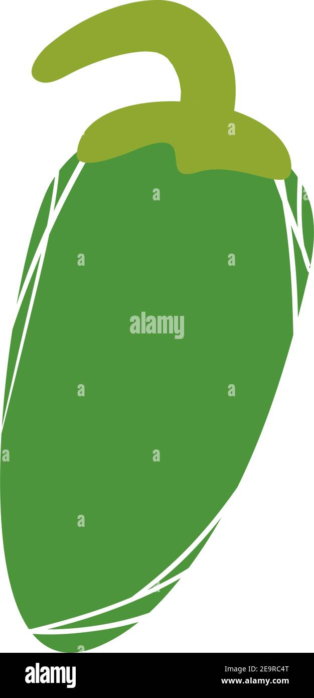 green chilli vegetable design, food organic and healthy theme Vector ...