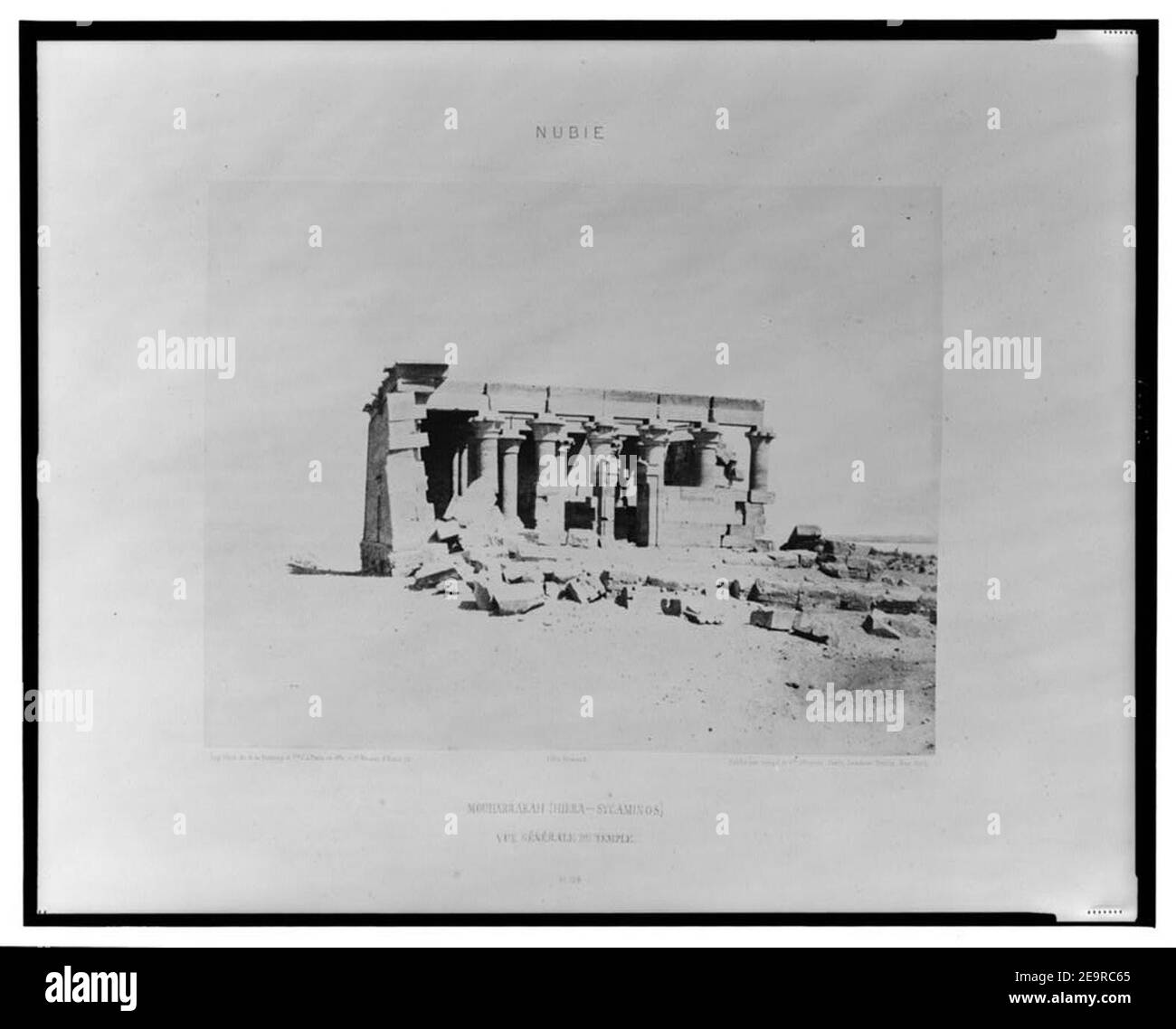 Hiera sycaminos hi-res stock photography and images - Alamy