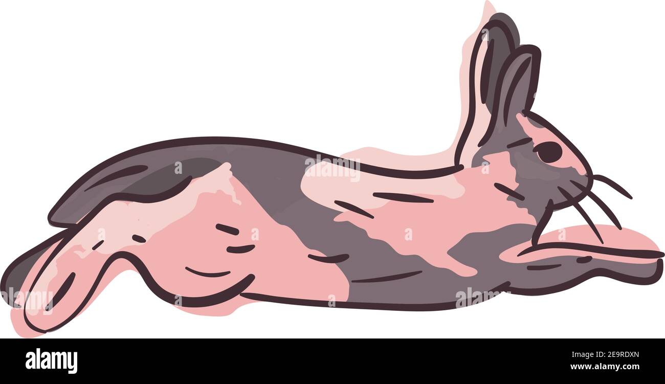 Cute rabbit jumping design, Animal life nature and character theme ...