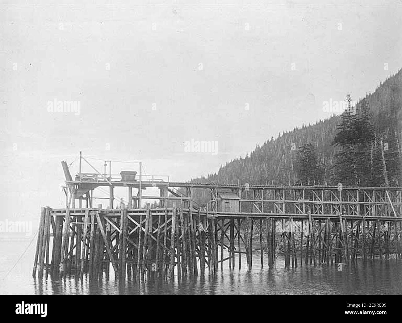 Mount Andrew Mining Company dock with pilings and high tide watermarks ...