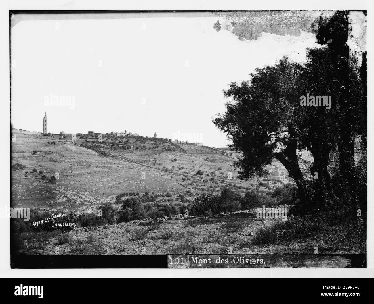 Mount of Olives (Jebel Et-Tur) etc. Mount of Olives, from the northwest ...