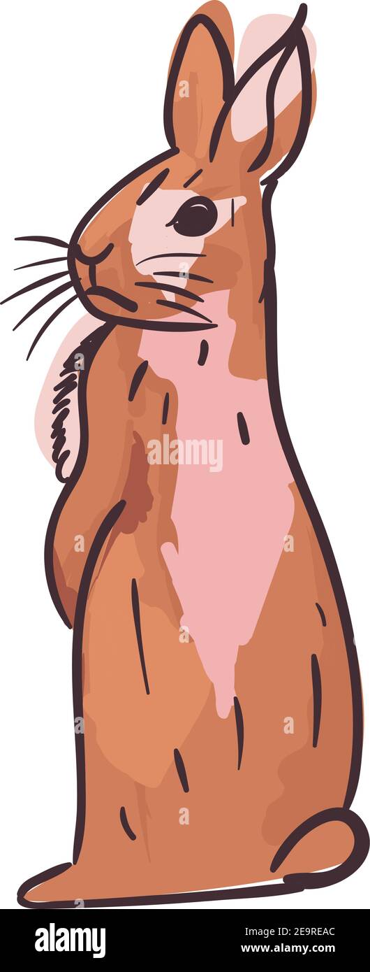 Pretty brown rabbit design, Animal life nature and character theme ...