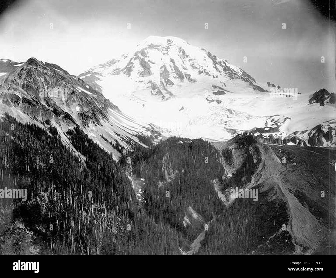 Mount Rainier viewed from Eagle Cliff, July 19, 1897 (WAITE 156 Stock ...