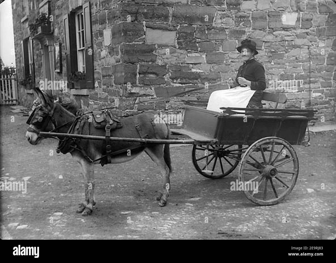 Mrs Oliver in a cart drawn by a donkey Stock Photo - Alamy