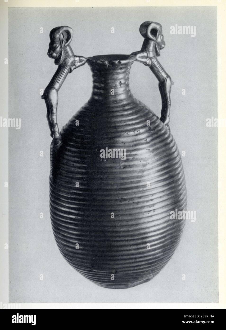 Vase ovoide hi-res stock photography and images - Alamy