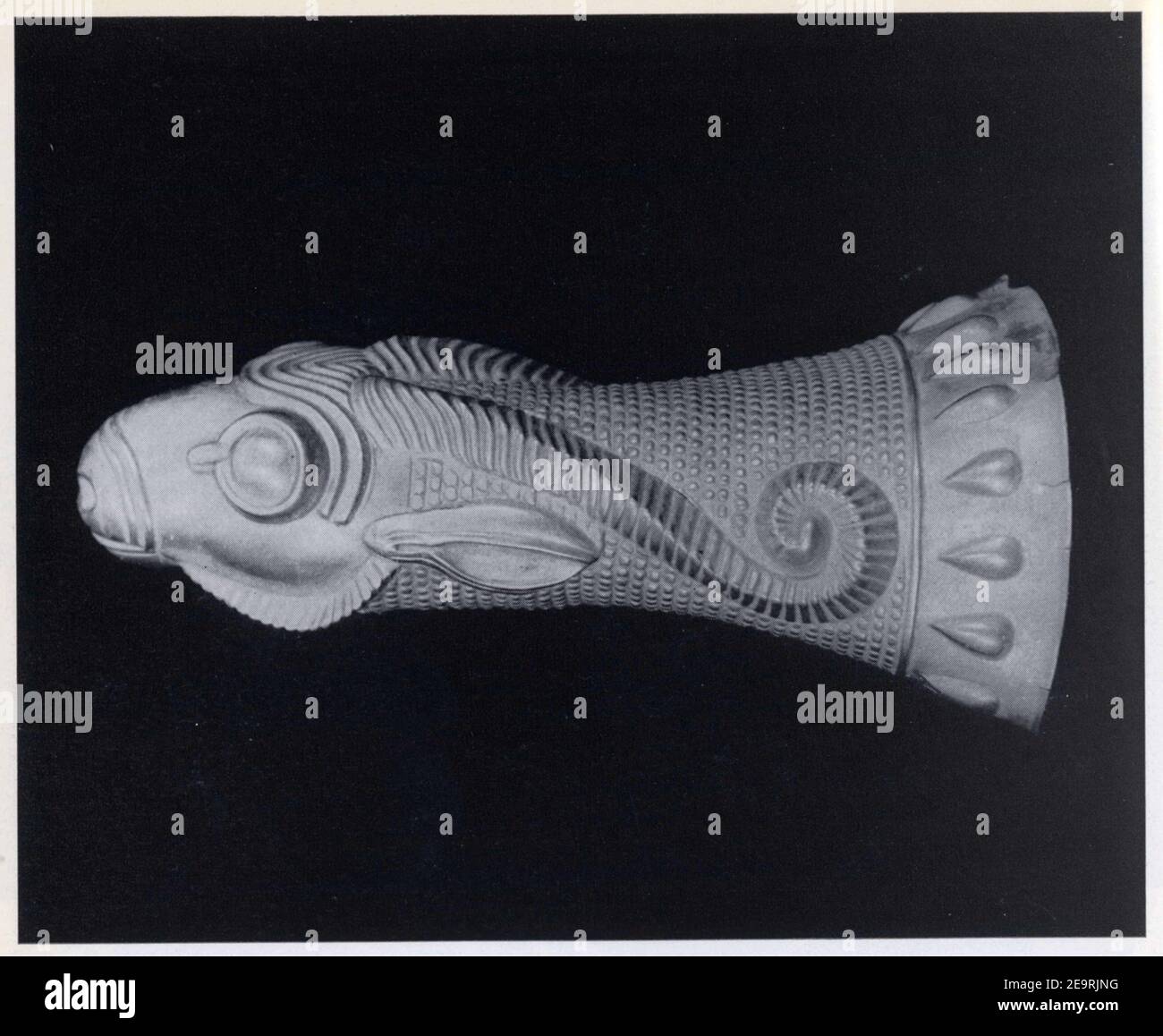 En forme tete hi-res stock photography and images - Alamy