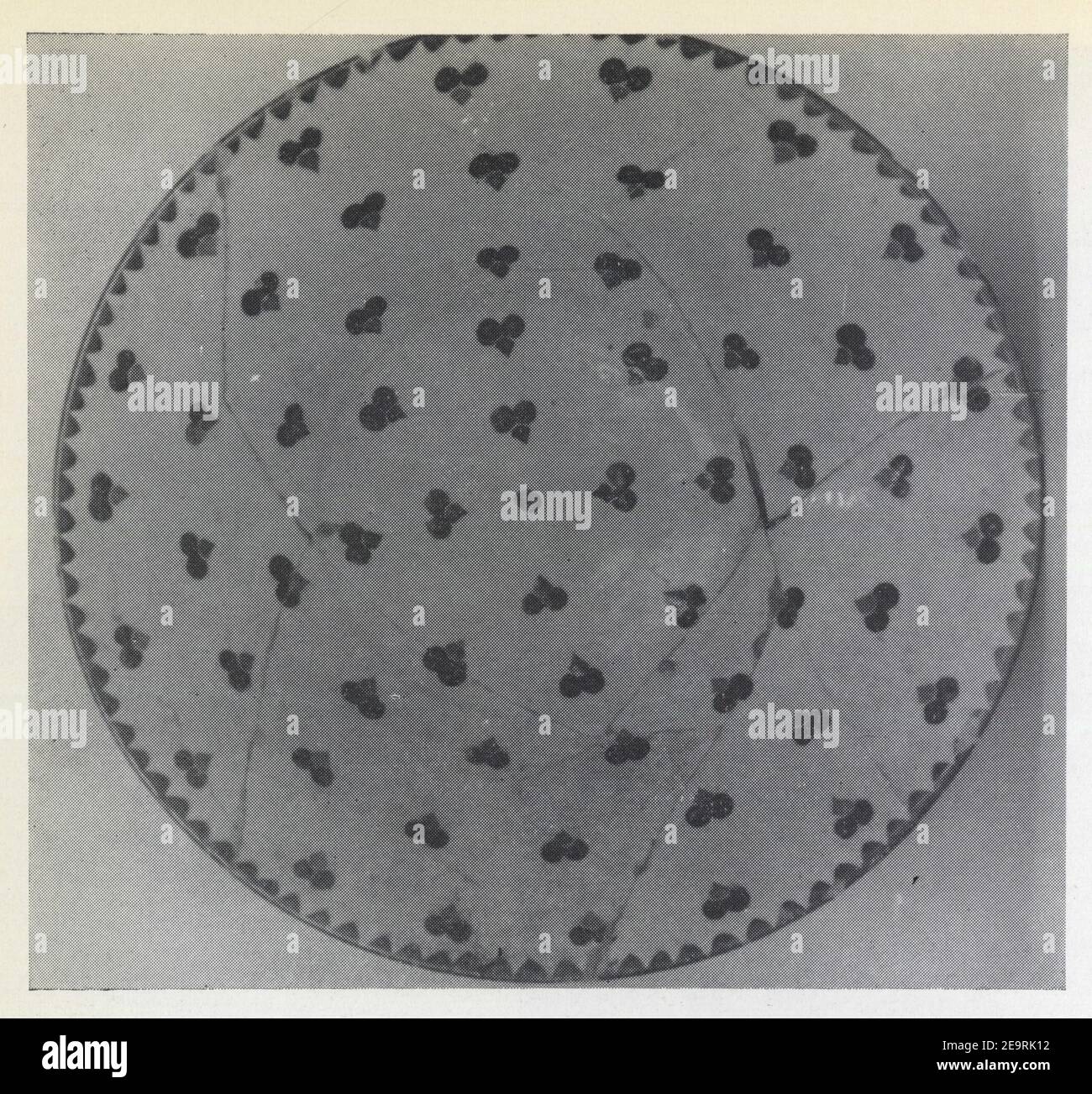 Bordure en terre cuite hi-res stock photography and images - Alamy