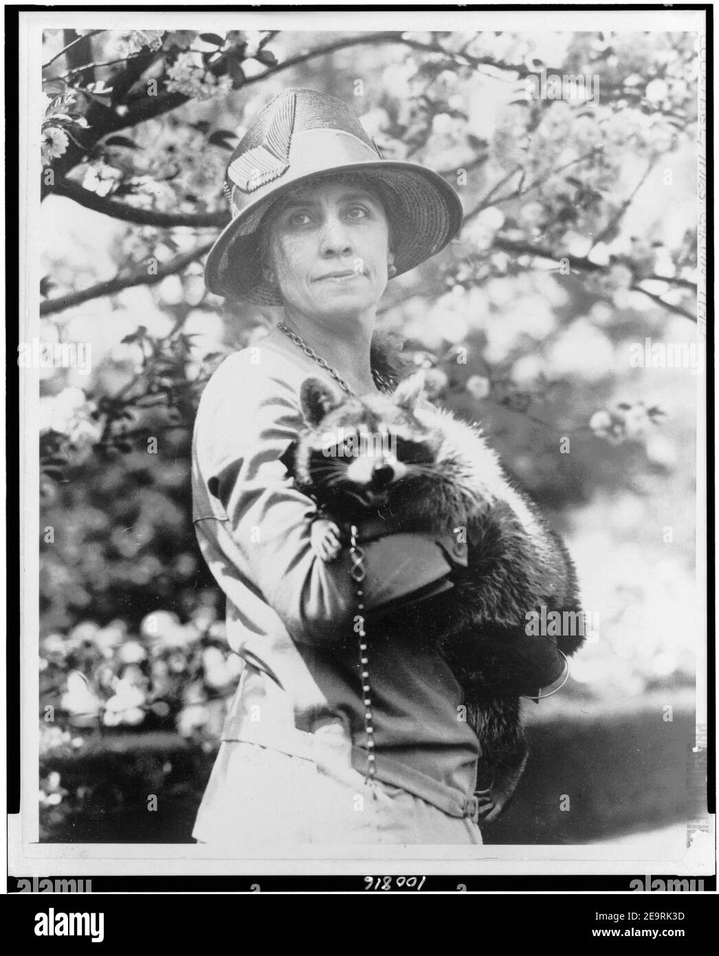 Mrs. Calvin Coolidge, half-length portrait, standing, facing front ...