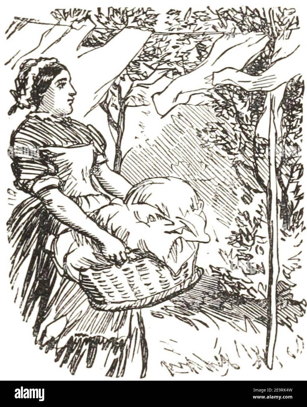 Mrs short Cut Out Stock Images & Pictures - Alamy