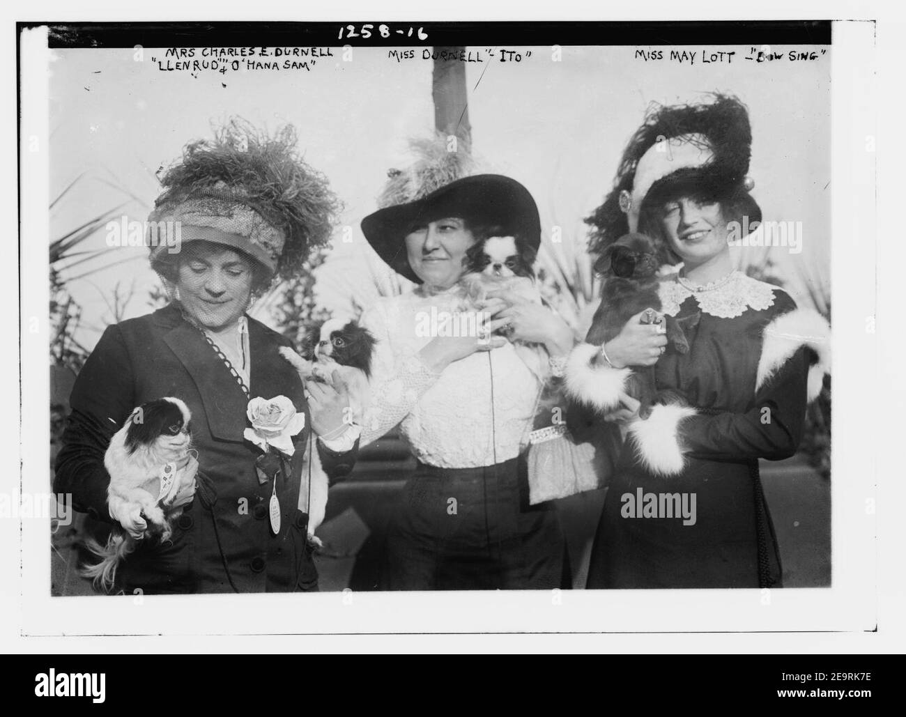 Mrs. charles e hi-res stock photography and images - Alamy